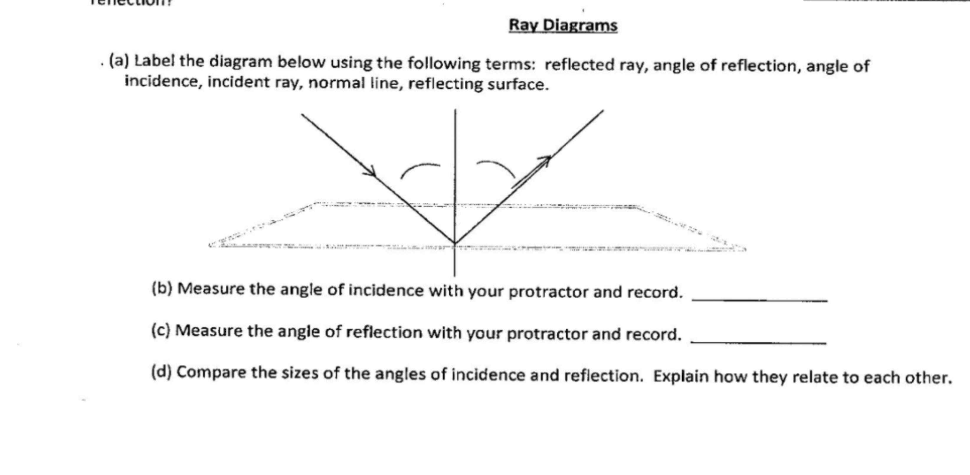 Solved Ray Diagrams(a) ﻿Label the diagram below using the | Chegg.com