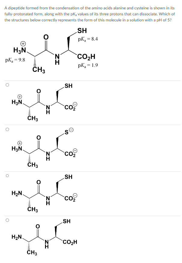 Solved A dipeptide formed from the condensation of the amino | Chegg.com