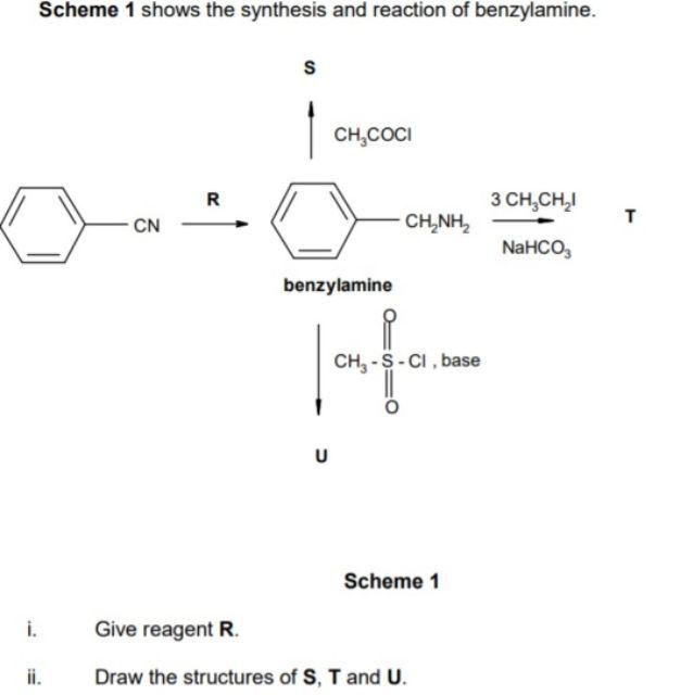 Solved Scheme 1 shows the synthesis and reaction of | Chegg.com