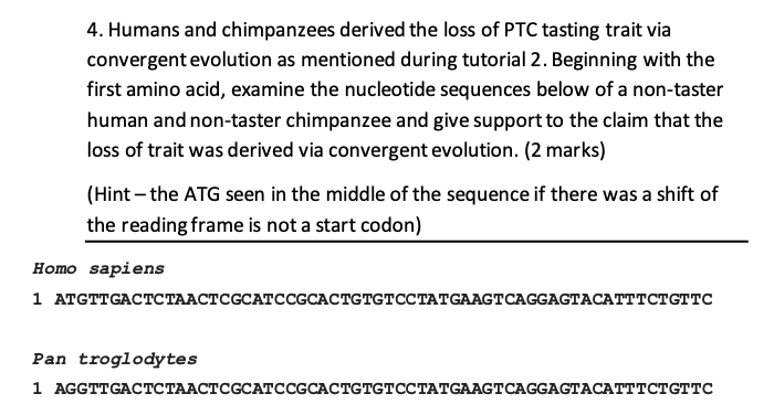 Solved 4. Humans and chimpanzees derived the loss of PTC | Chegg.com