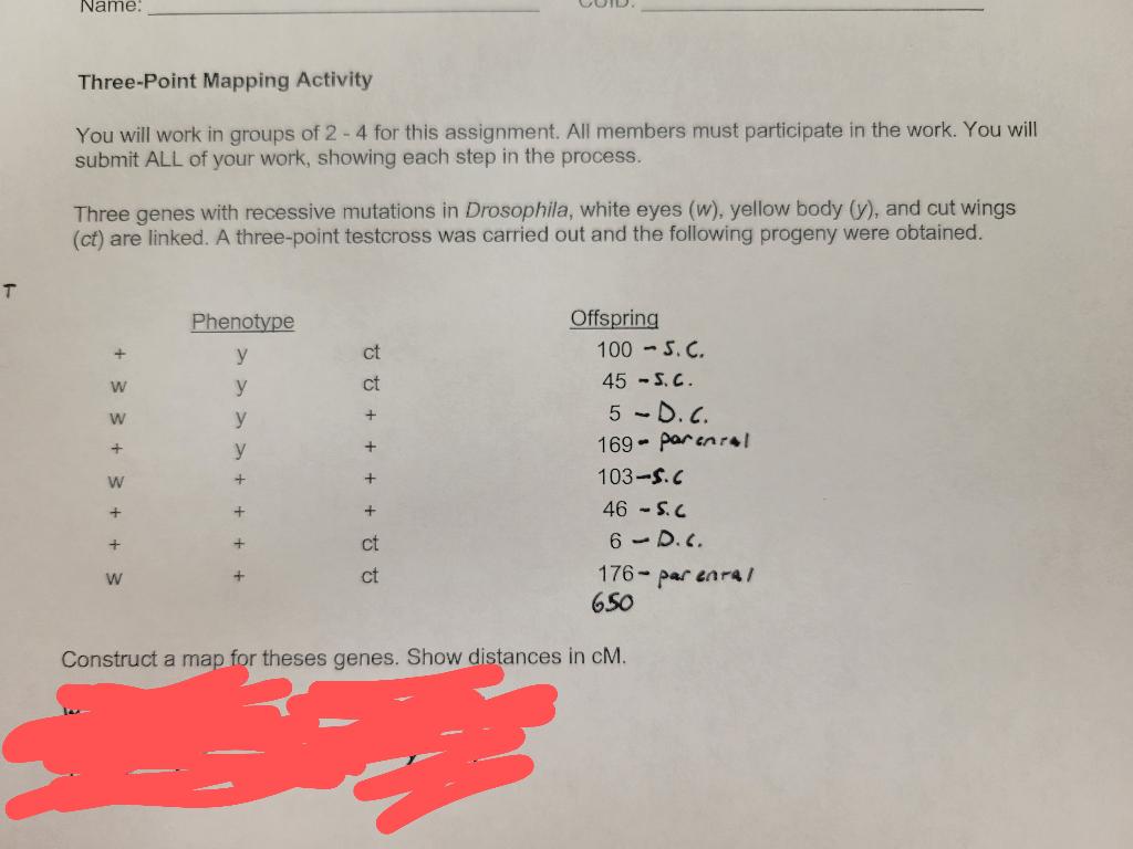 Solved Name Three-Point Mapping Activity You will work in | Chegg.com