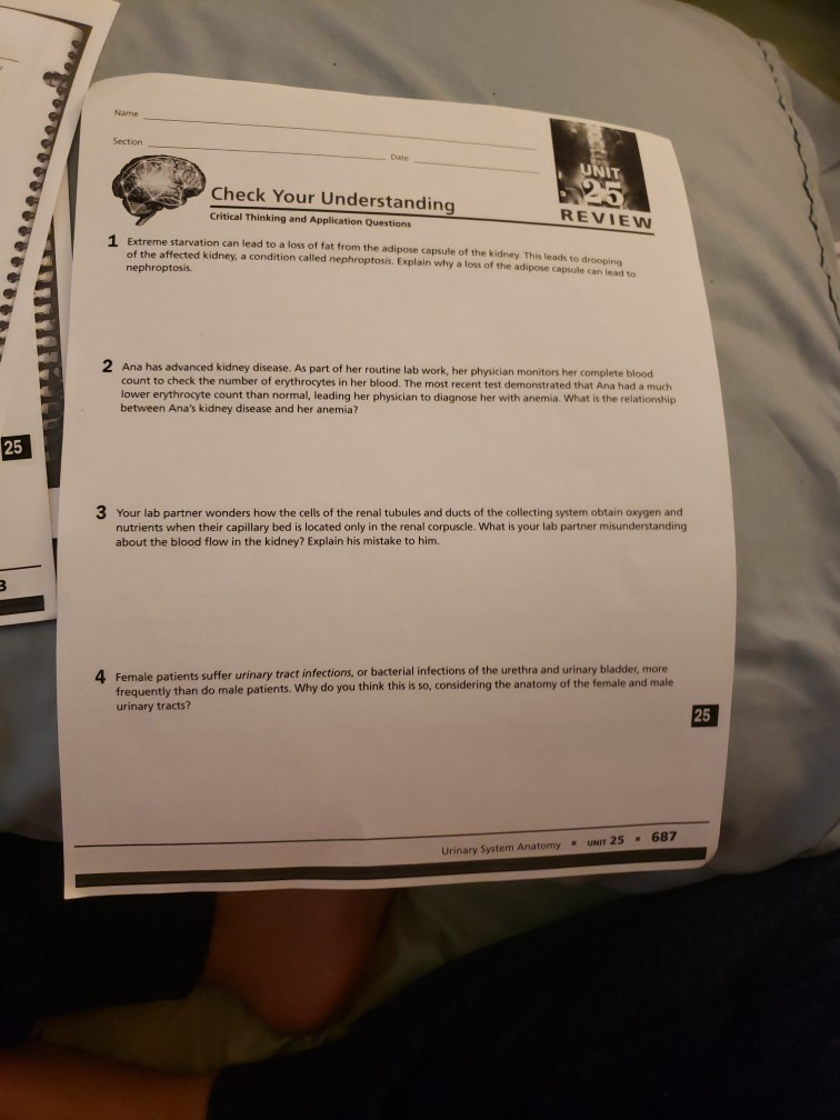 Solved Name Section Date Check Your Understanding Critical | Chegg.com