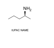 Solved NH2 IUPAC NAME | Chegg.com