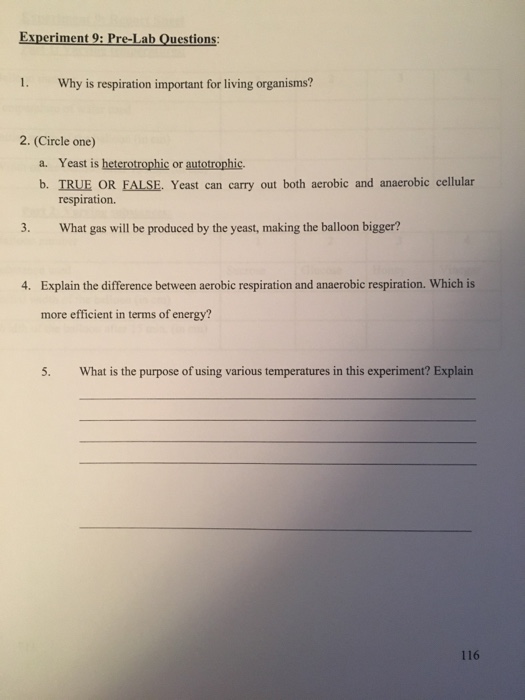 Solved Experiment 9: Pre-Lab Questions 1. Why is respiration | Chegg.com