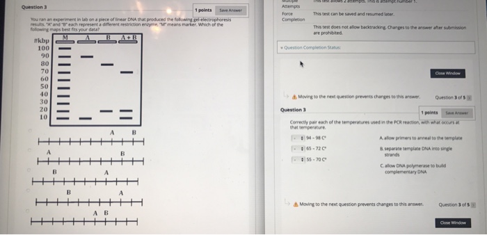 Solved You ran an experiment in lab on a piece of linear DNA | Chegg.com