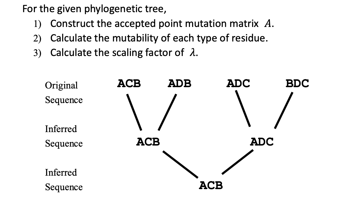 Solved For the given phylogenetic tree, 1) Construct the | Chegg.com