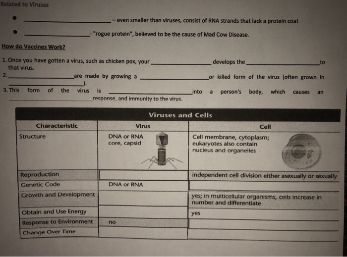 Solved Viruses Study Guide Characteristics of a Virus | Chegg.com