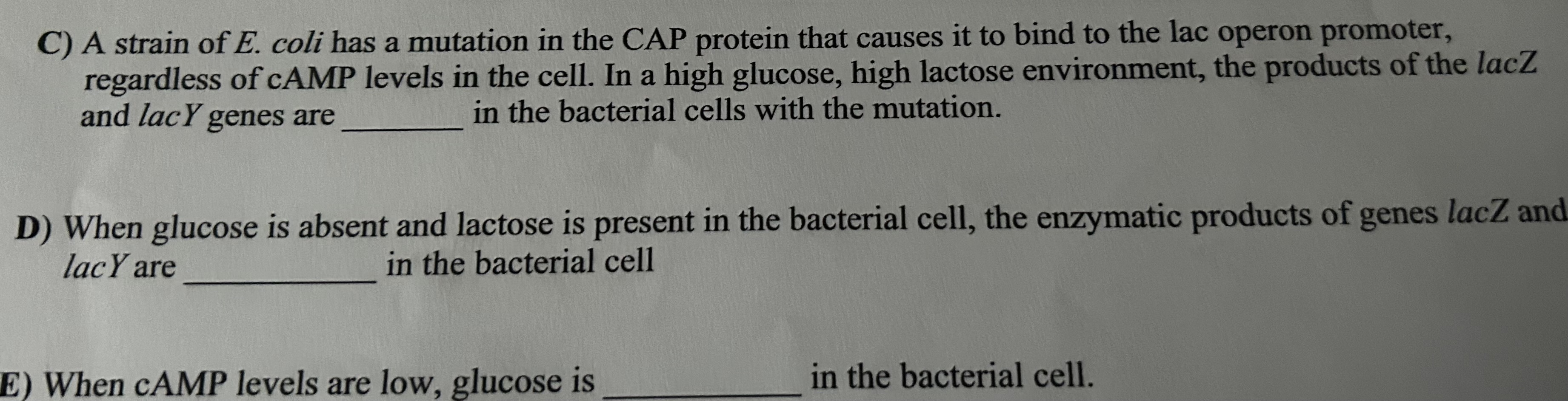 Solved A) When the CAP/cAMP complex is bound to the promoter | Chegg.com