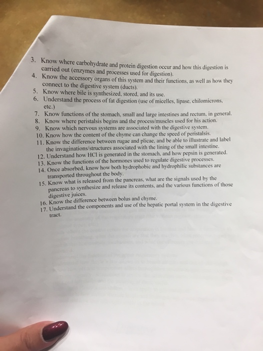 Solved 3. 4. 5. Know where carbohydrate and protein | Chegg.com