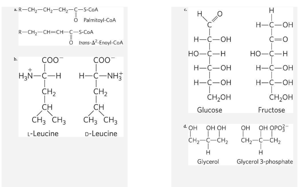Solved 19. Recognizing Reaction Types For each pair of | Chegg.com