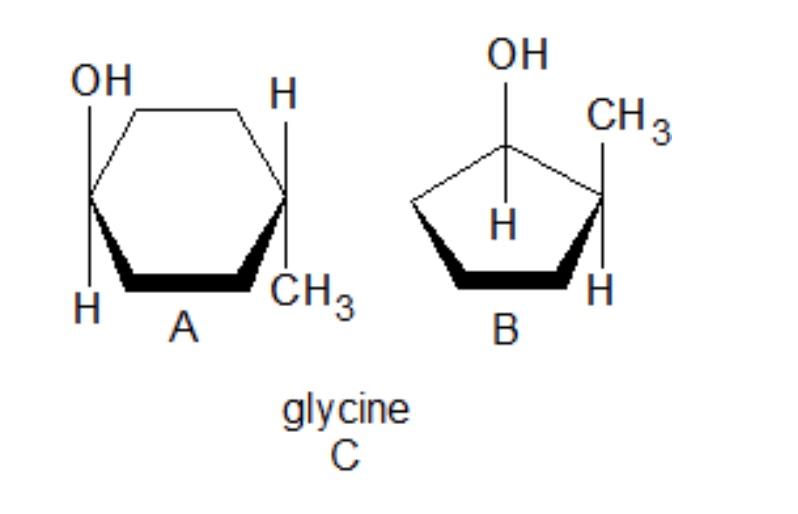 Solved glycine C | Chegg.com