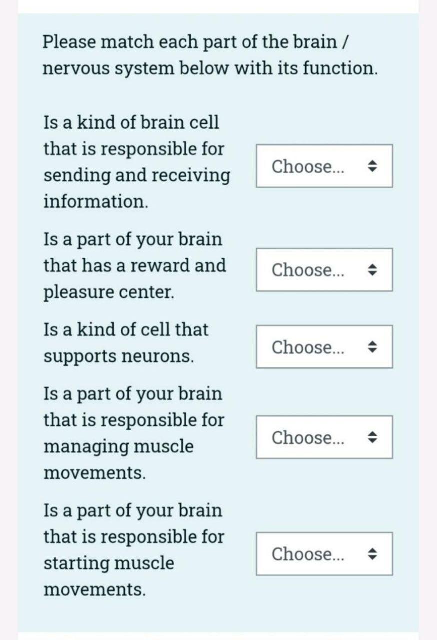 Solved Please match each part of the brain / nervous system | Chegg.com