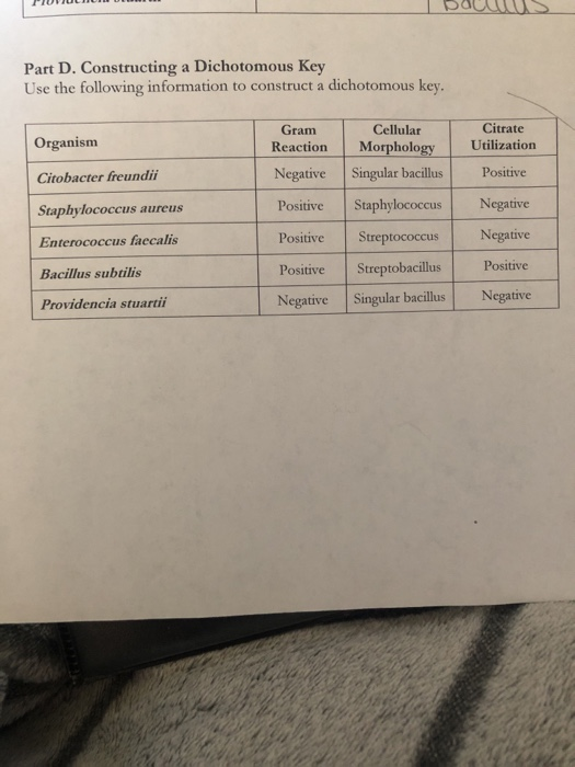 Solved Part D. Constructing a Dichotomous Key Use the | Chegg.com