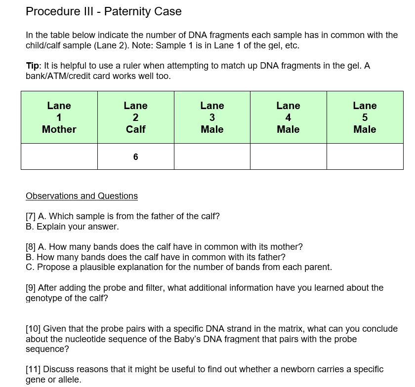 Solved Procedure Dna Fragment Size In The Table Bel