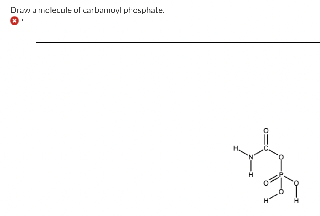 Solved Draw a molecule of carbamoyl phosphate. ⊗ ' | Chegg.com