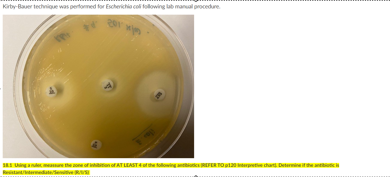 Solved Kirby-Bauer technique was performed for Escherichia | Chegg.com Solved Kirby-Bauer technique was performed for Escherichia | Chegg.com