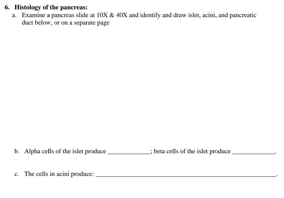 Pancreas Slide Labeled Alpha Cells