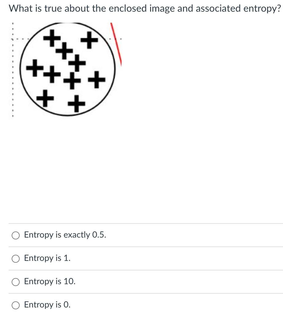 Solved What is true about the enclosed image and associated | Chegg.com