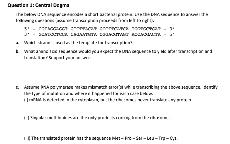 Solved Question 1: Central Dogma The below DNA sequence | Chegg.com
