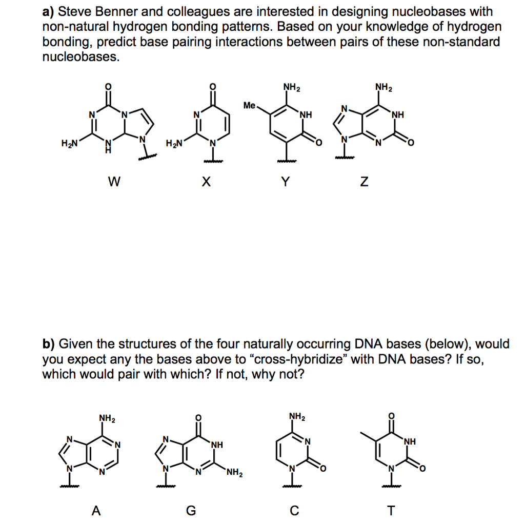Solved a) Steve Benner and colleagues are interested in | Chegg.com