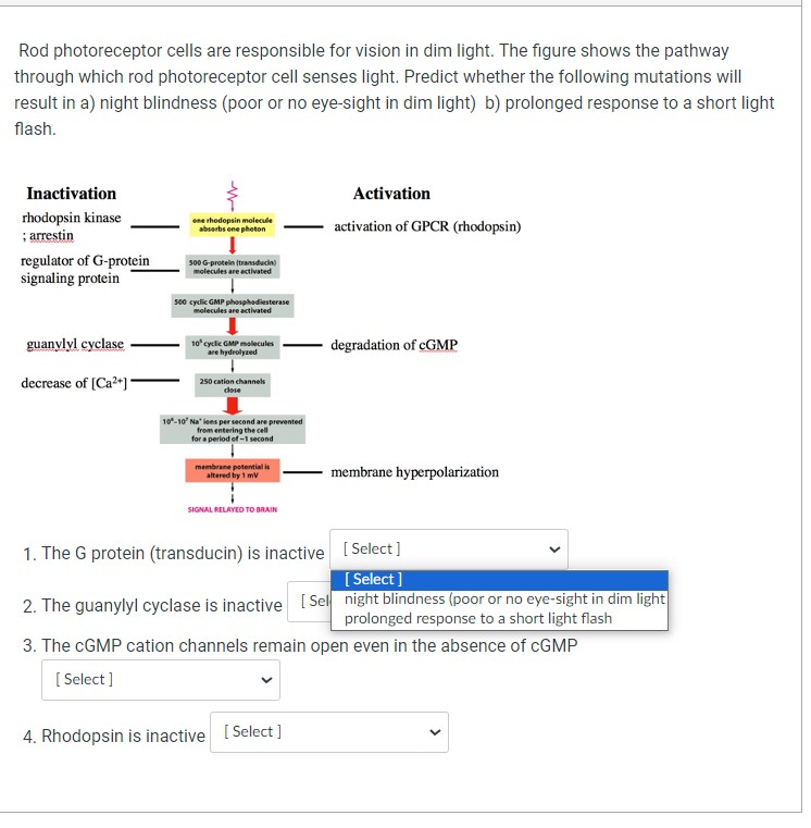 Hello please help me with the above question. Answer | Chegg.com Hello please help me with the above question. Answer | Chegg.com