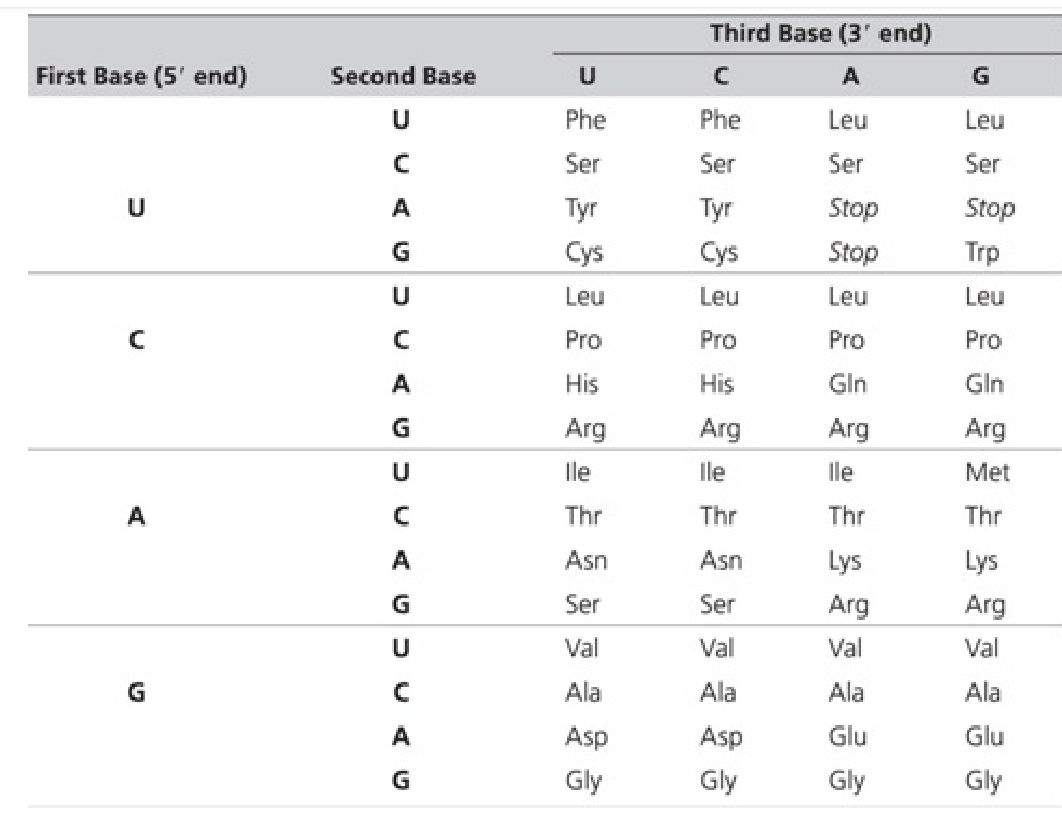 Solved The partial DNA sequence (informational strand) of a | Chegg.com