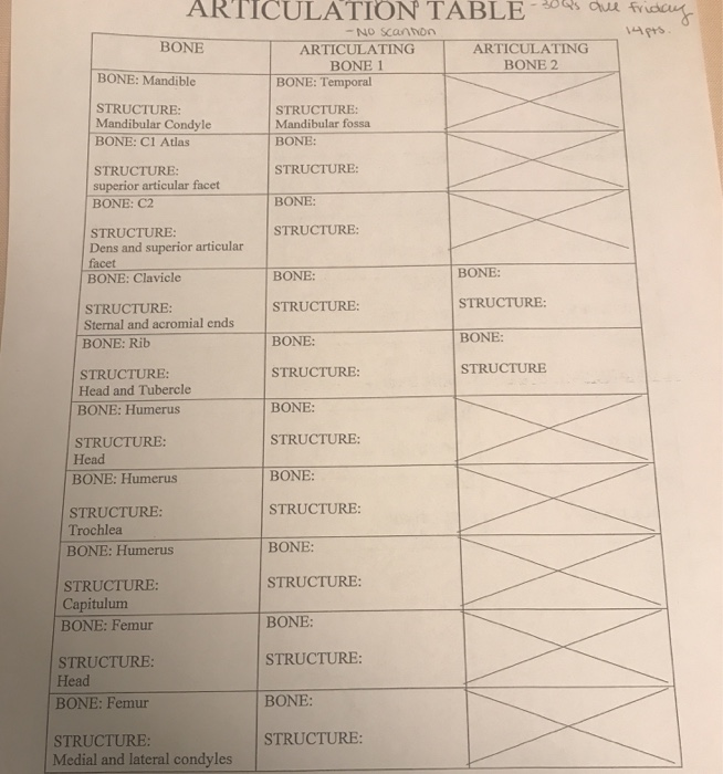 Solved ARTICULATION TABLE f ARTICULATING BONE 1 BONE | Chegg.com