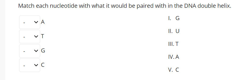 Solved Match each nucleotide with what it would be paired | Chegg.com