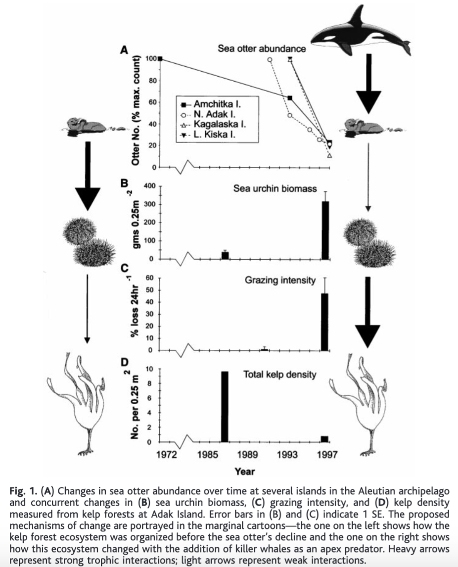 Solved Describe the trophic relationship in Fig. 1: What are | Chegg.com
