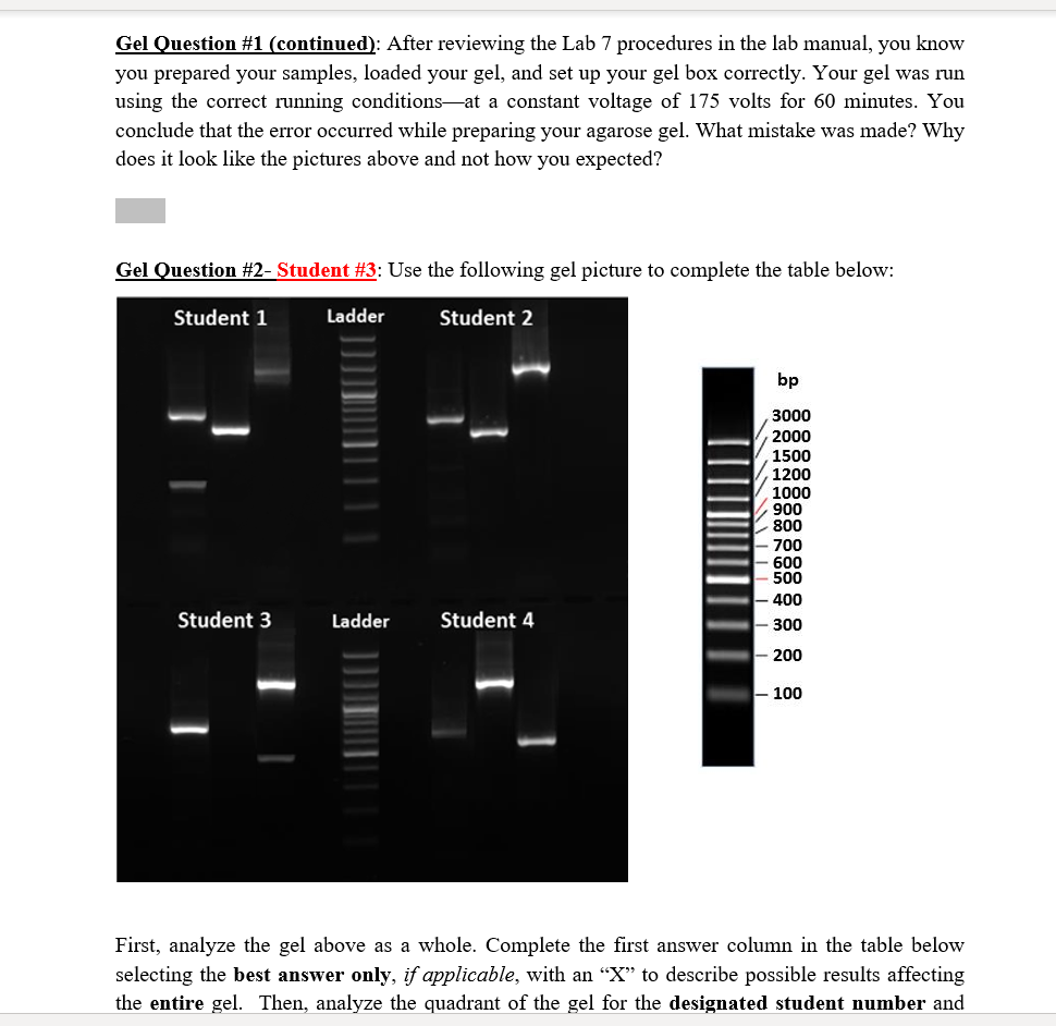 Im not understanding the Gel analysis Question 2: | Chegg.com