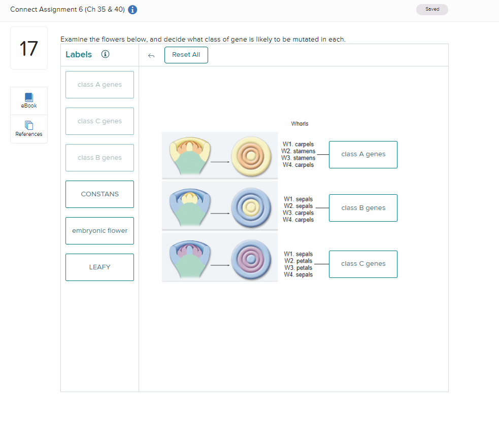 Solved Examine the flowers below, and decide what class of | Chegg.com