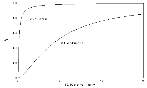 Solved (See enzyme graph below) Please help with Questions 1 | Chegg.com