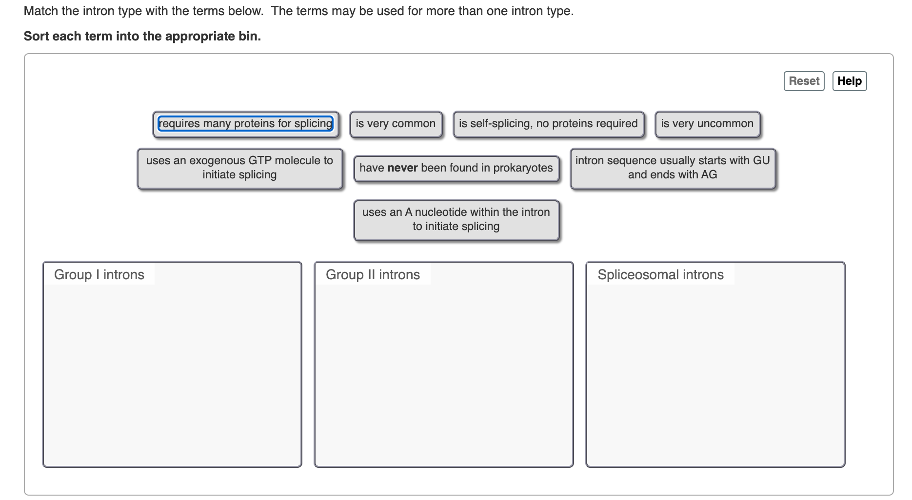 Solved Match the intron type with the terms below. The terms | Chegg.com