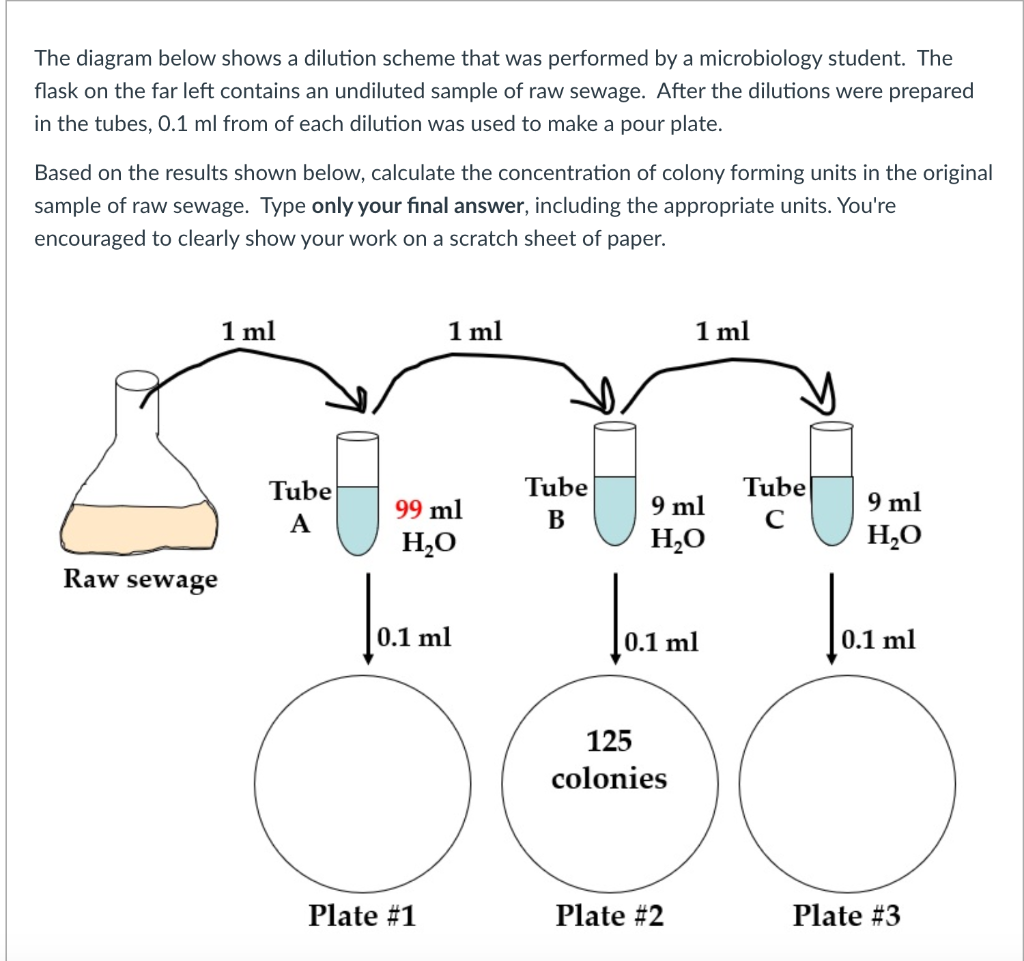 Solved The diagram below shows a dilution scheme that was | Chegg.com
