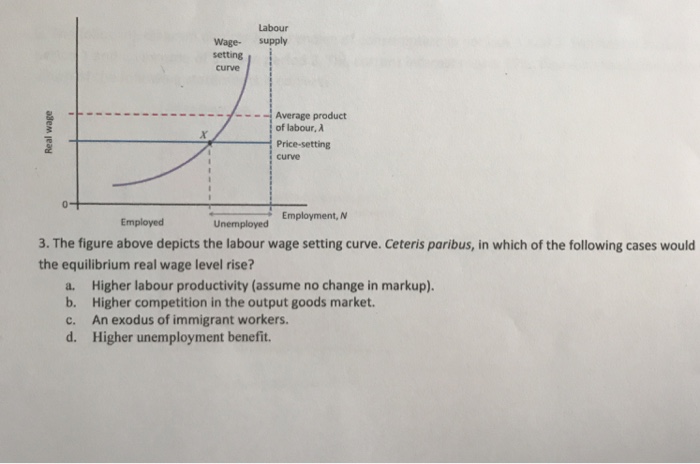 Solved Labour Wage- supply setting curve | Average product | Chegg.com
