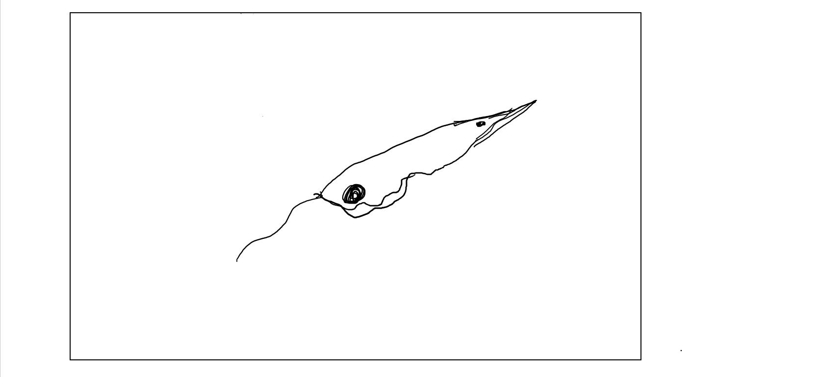 Solved Assume the ocular scale on each image in the | Chegg.com