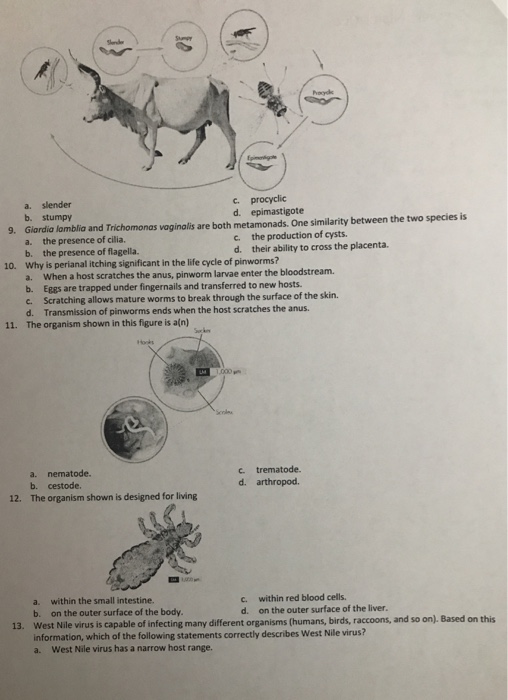 Solved Which of the following would be considered | Chegg.com