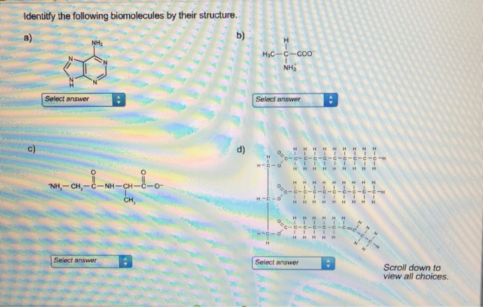 Solved Identify the following biomolecules by their | Chegg.com