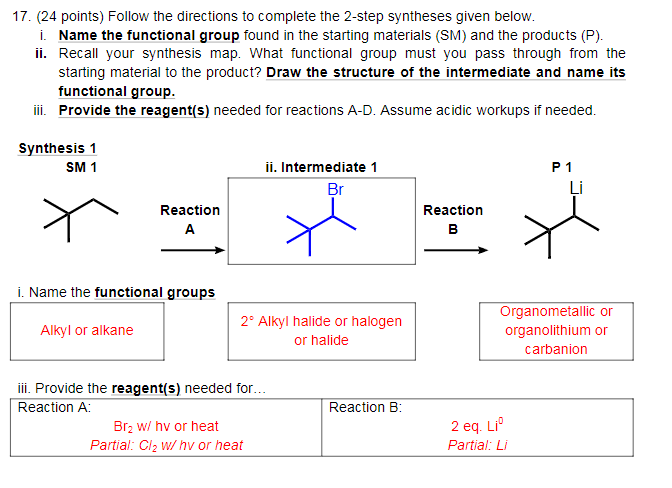 Solved 17. (24 points) Follow the directions to complete the | Chegg.com