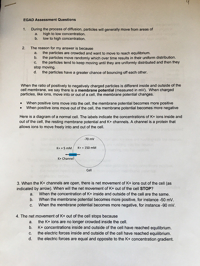 Solved EGAD Assessment Questions 1. During the process of | Chegg.com