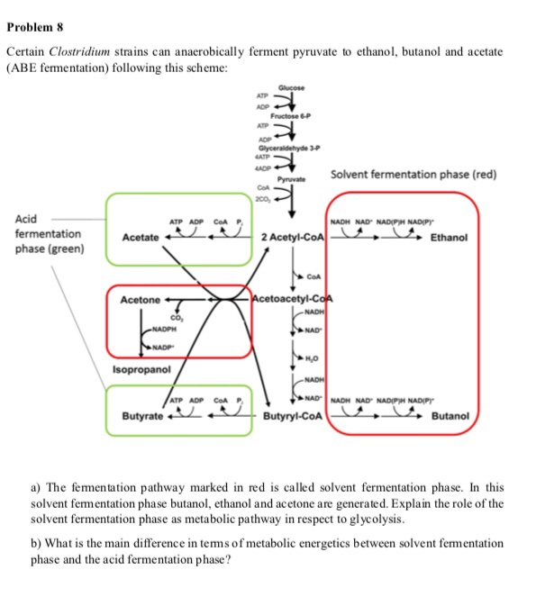 Solved Problem 8 Certain Clostridium strains can | Chegg.com