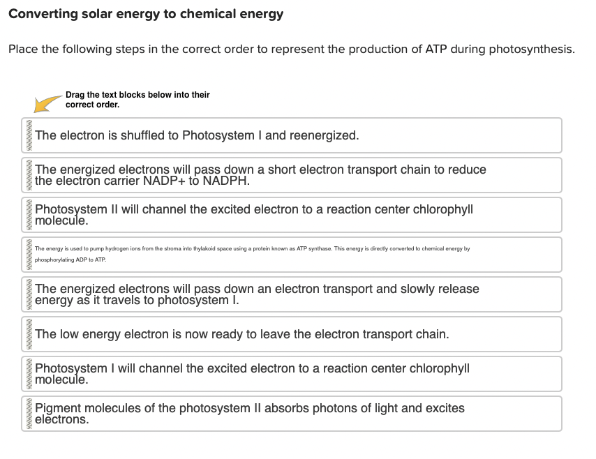 Solved Converting solar energy to chemical energy Place the | Chegg.com