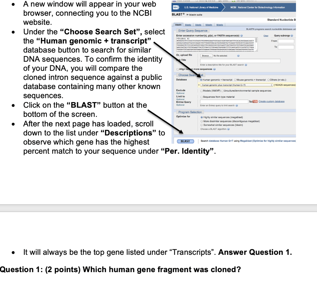 Descriptions Graphic Summary Alignments Taxonomy | Chegg.com