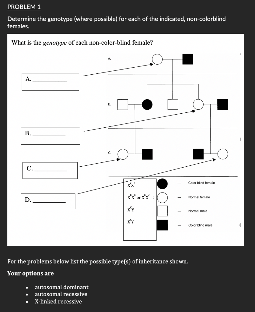 Solved PROBLEM 1 Determine the genotype (where possible) for | Chegg.com