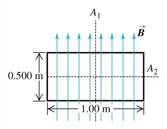 Solved A uniform rectangular coil of total mass 240g | Chegg.com