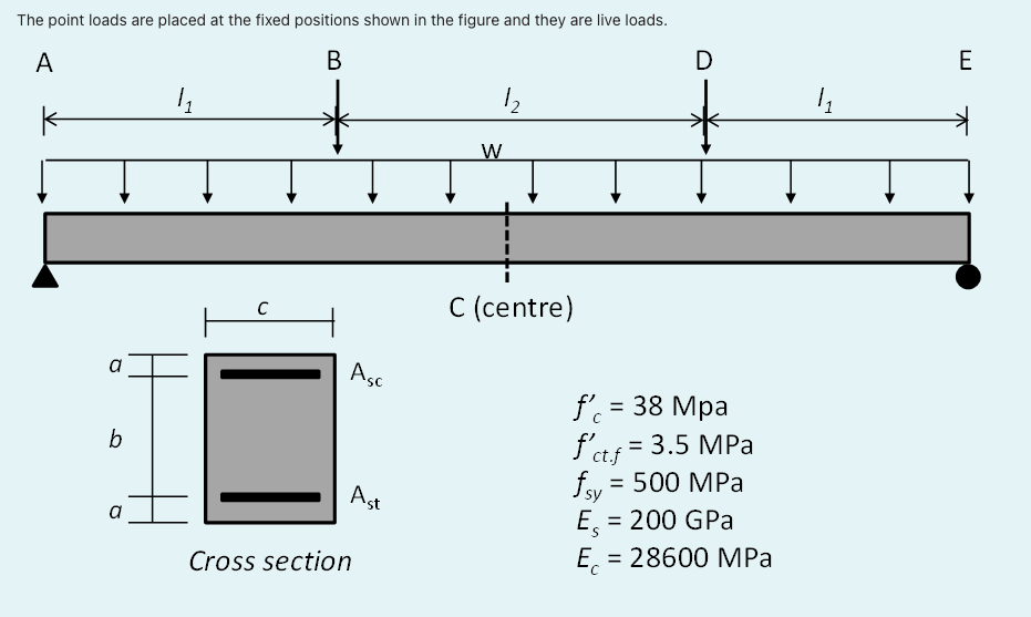 Solved The point loads are placed at the fixed positions | Chegg.com