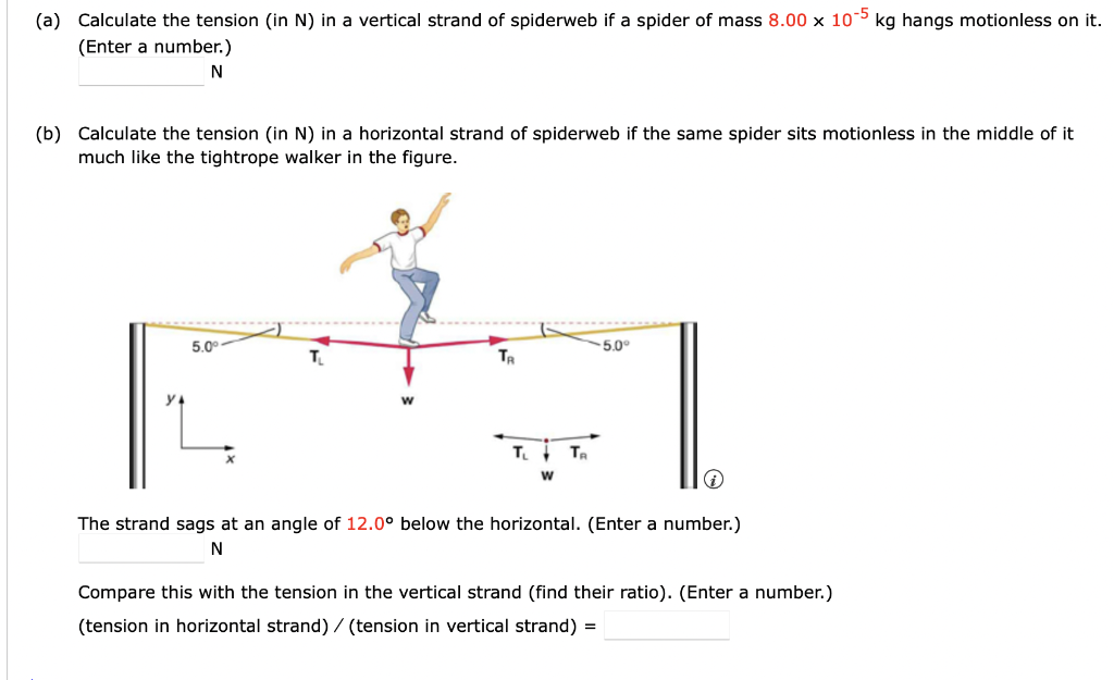 Solved (a) Calculate the tension (in N) in a vertical strand | Chegg.com