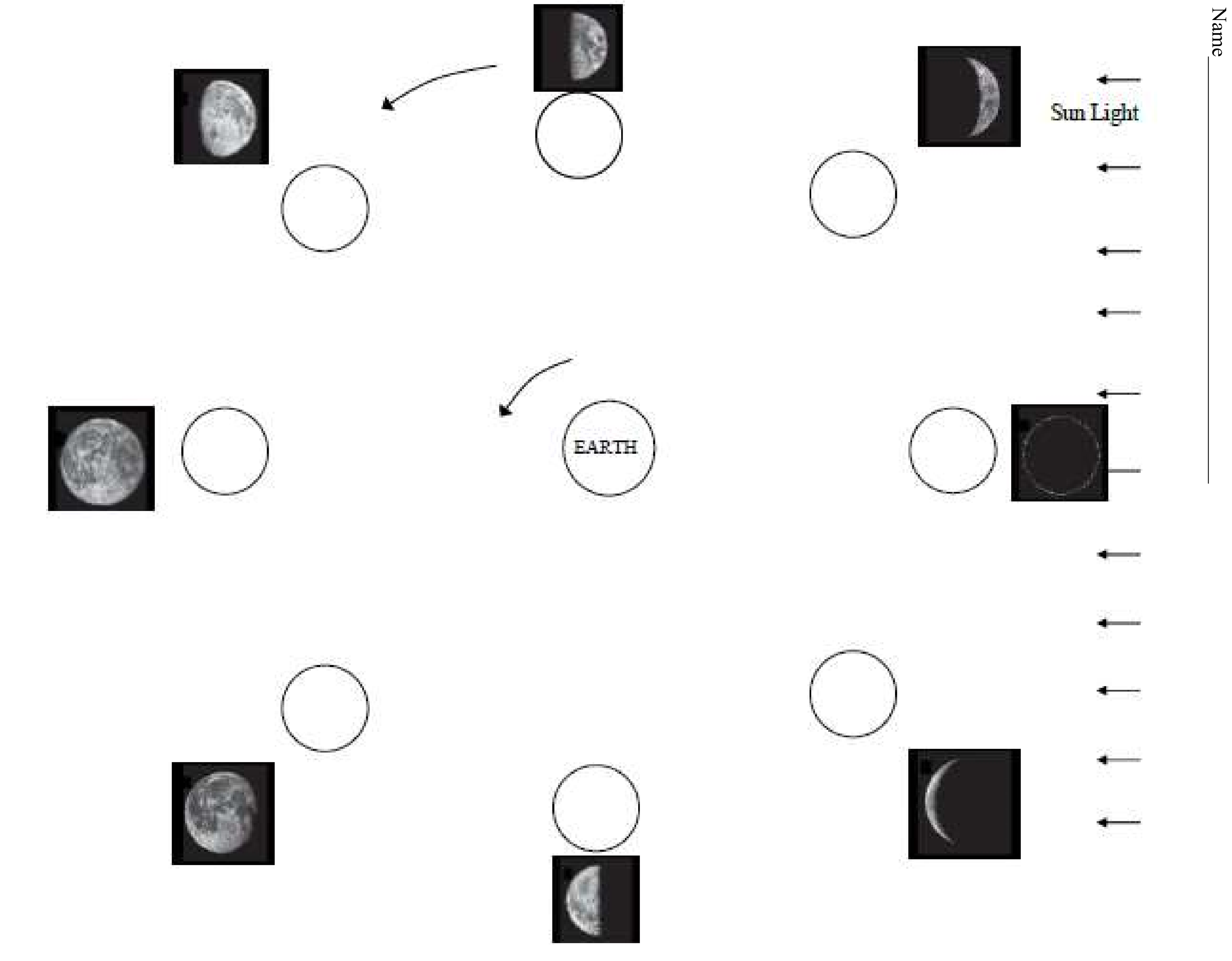Solved 1. From your location on the Earth at noon, which | Chegg.com