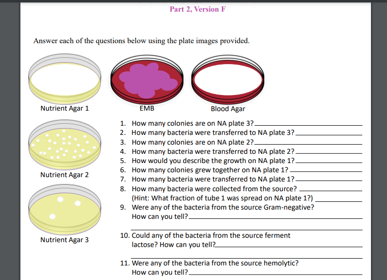 Solved Part 2, Version F Answer each of the questions below | Chegg.com