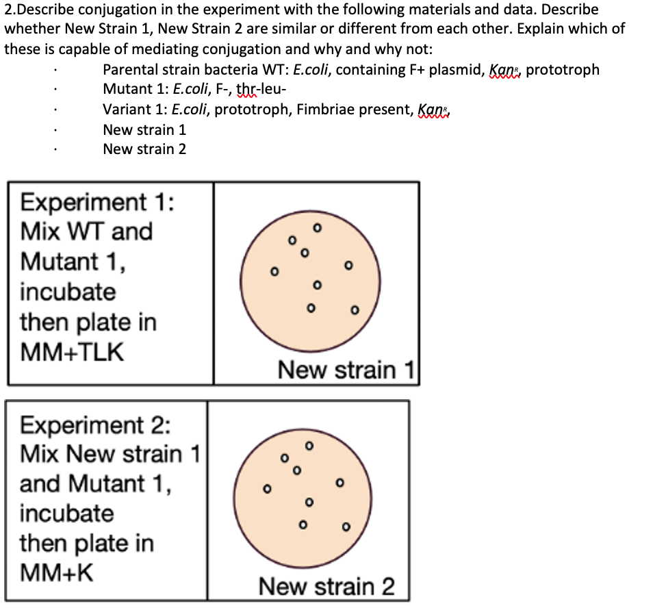 Solved 2.Describe conjugation in the experiment with the | Chegg.com